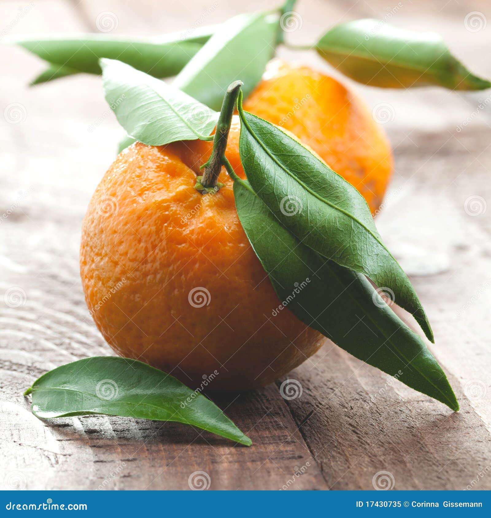 Fresh tangerine stock image. Image of ripe, fruit, snack - 17430735