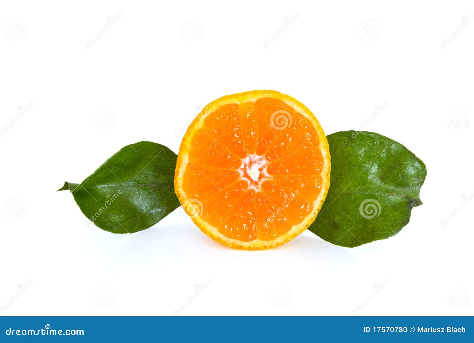 Fresh tangerine stock photo. Image of vitamin, vegetarian - 17570780