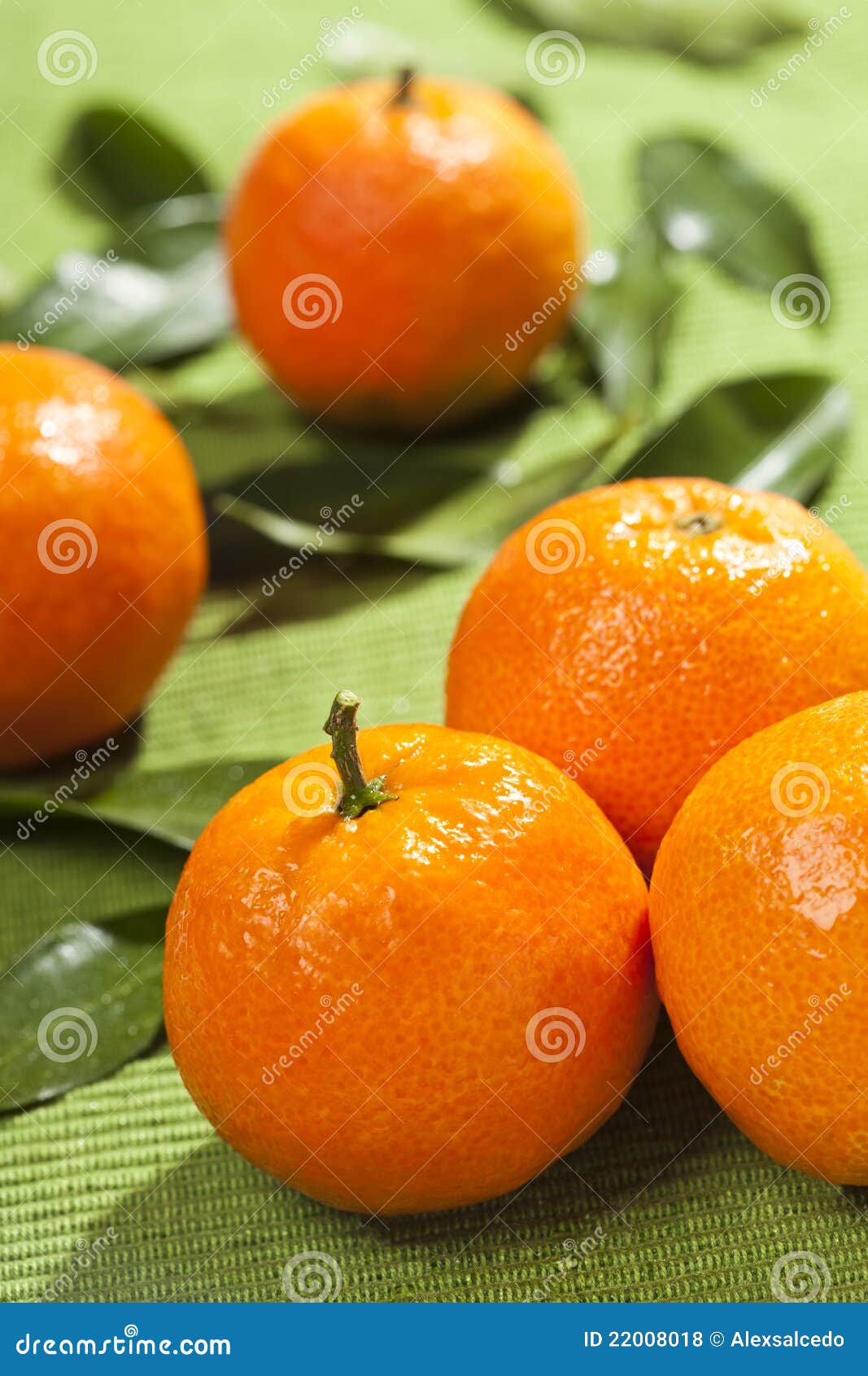 Fresh tangerines stock photo. Image of napkin, healthy - 22008018