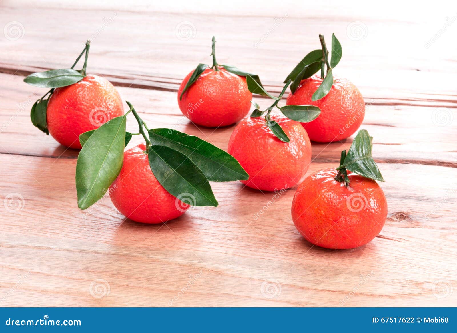 Fresh tangerines stock photo. Image of mandarin, fresh - 67517622