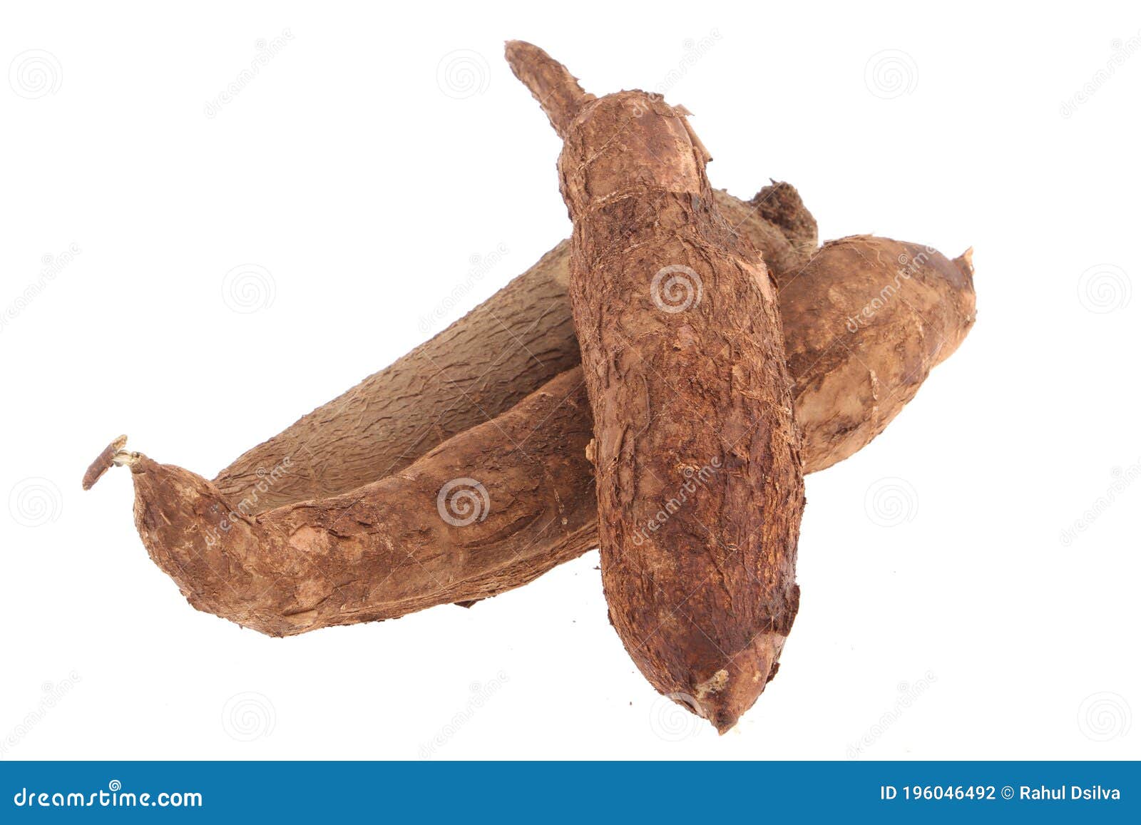 Fresh Tapioca, Cassava Root, Mandioca. Aipim Cut Open, Stock Photo ...
