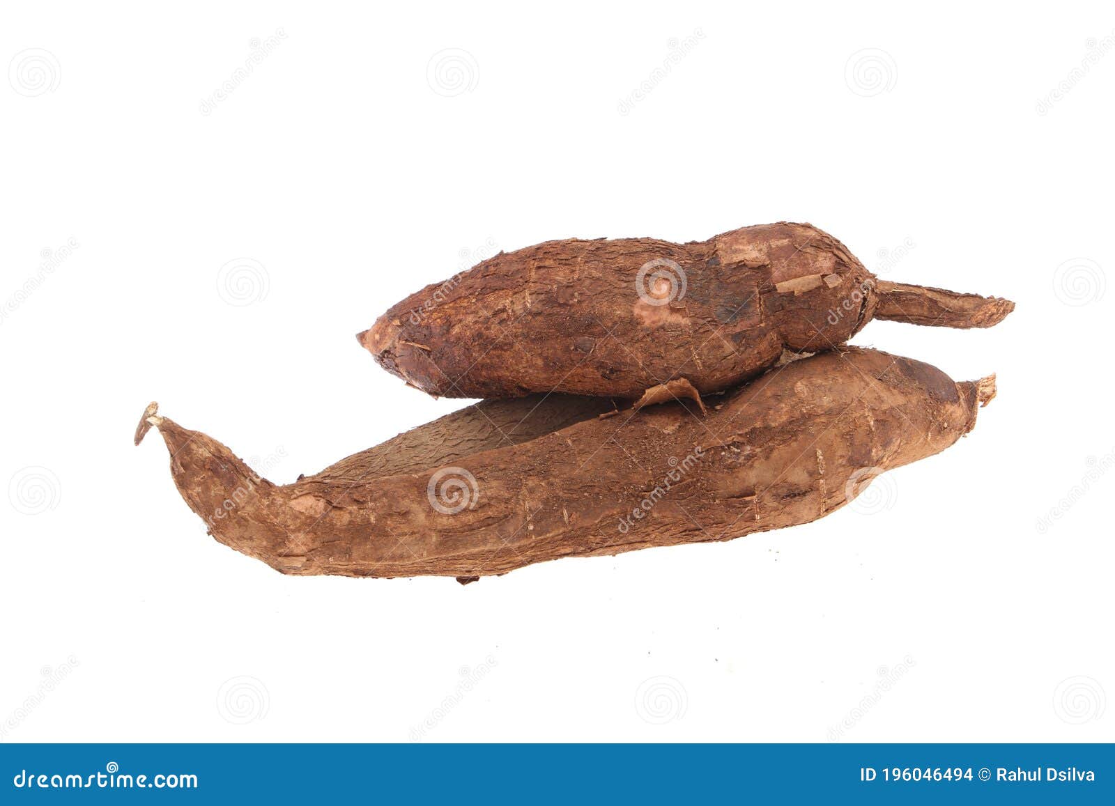 Fresh Tapioca, Cassava Root, Mandioca. Aipim Cut Open, South Indian ...