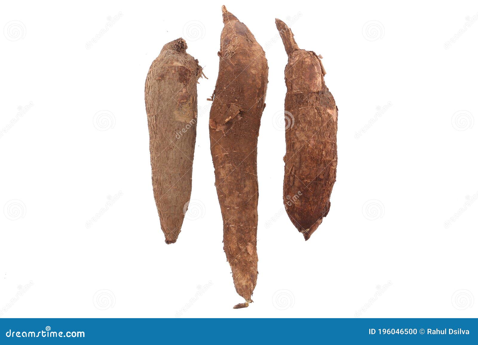 Fresh Tapioca, Cassava Root, Mandioca. Aipim Cut Open, South Indian ...
