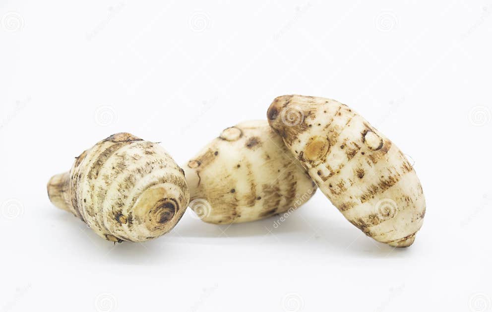 Fresh Taro Root Also Known As Arbi on White Background Stock Image ...