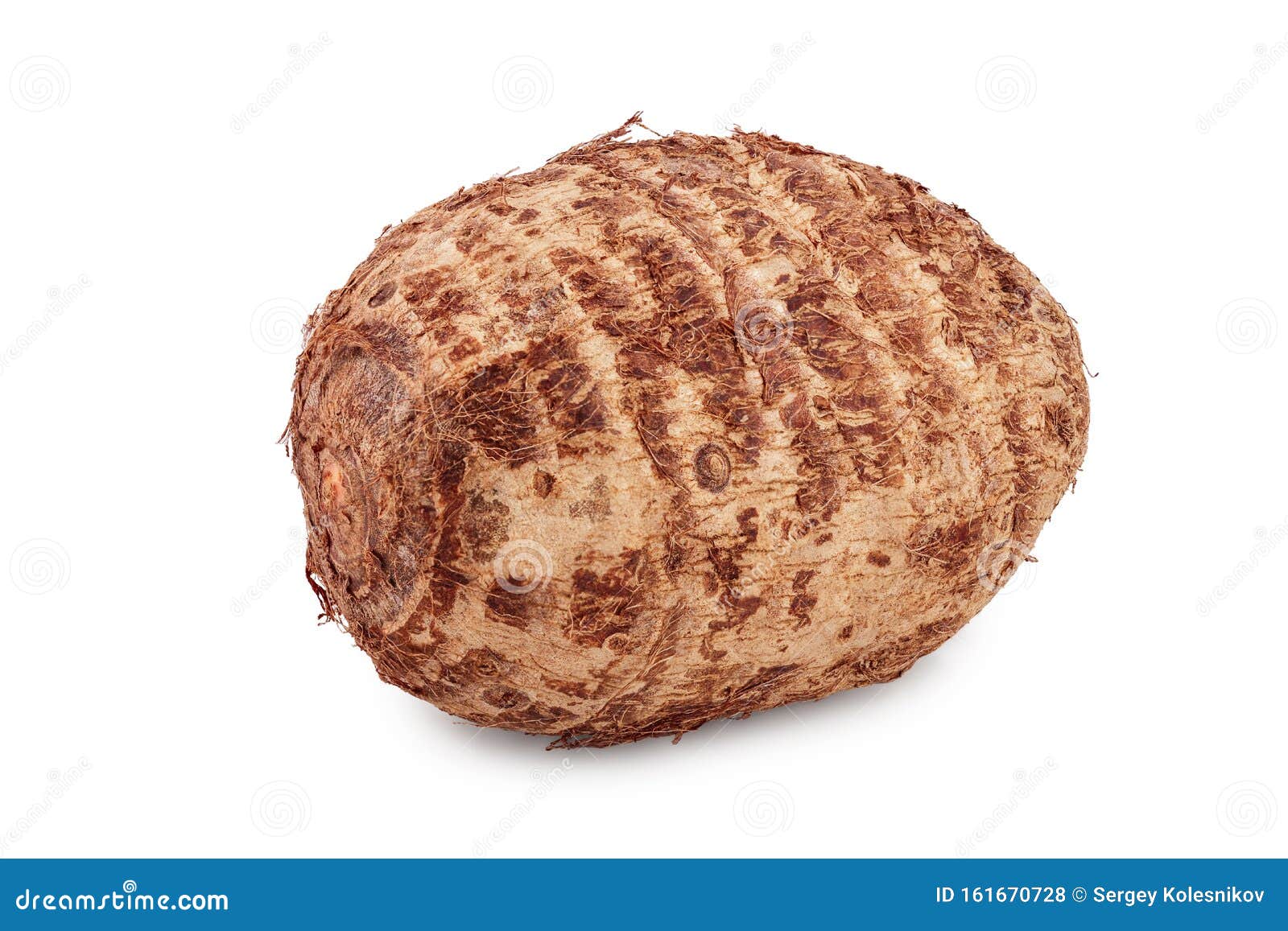 Fresh Taro Root Isolated on White Background Stock Photo - Image of ...