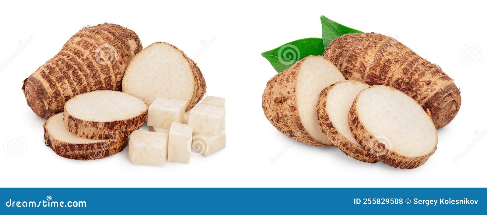 Fresh Taro Root with Slices Isolated on White Background Stock Photo ...