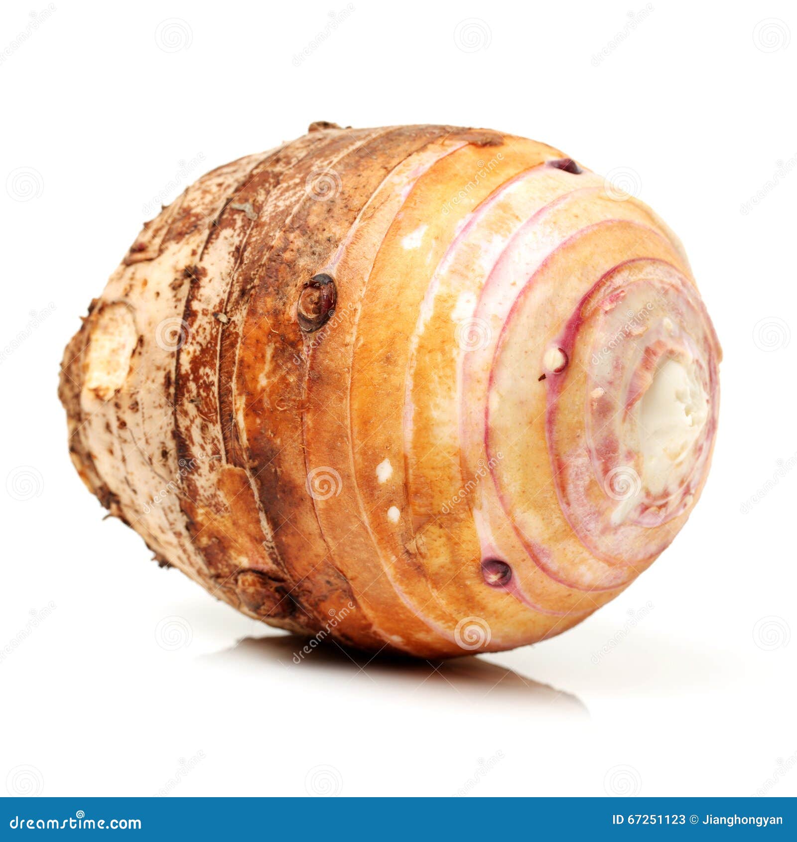 Fresh Taro stock image. Image of tropical, shot, ingredient - 67251123