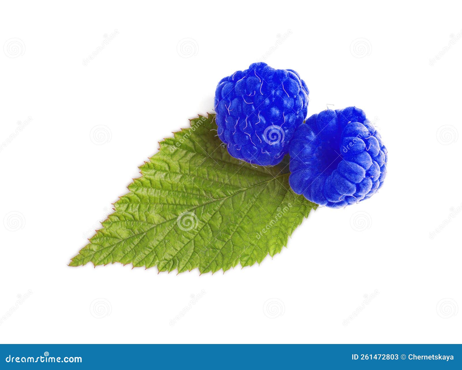 Fresh Tasty Blue Raspberries Isolated on White Stock Image - Image of ...