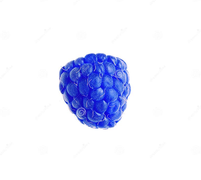 Fresh Tasty Blue Raspberry Isolated on White Stock Image - Image of ...