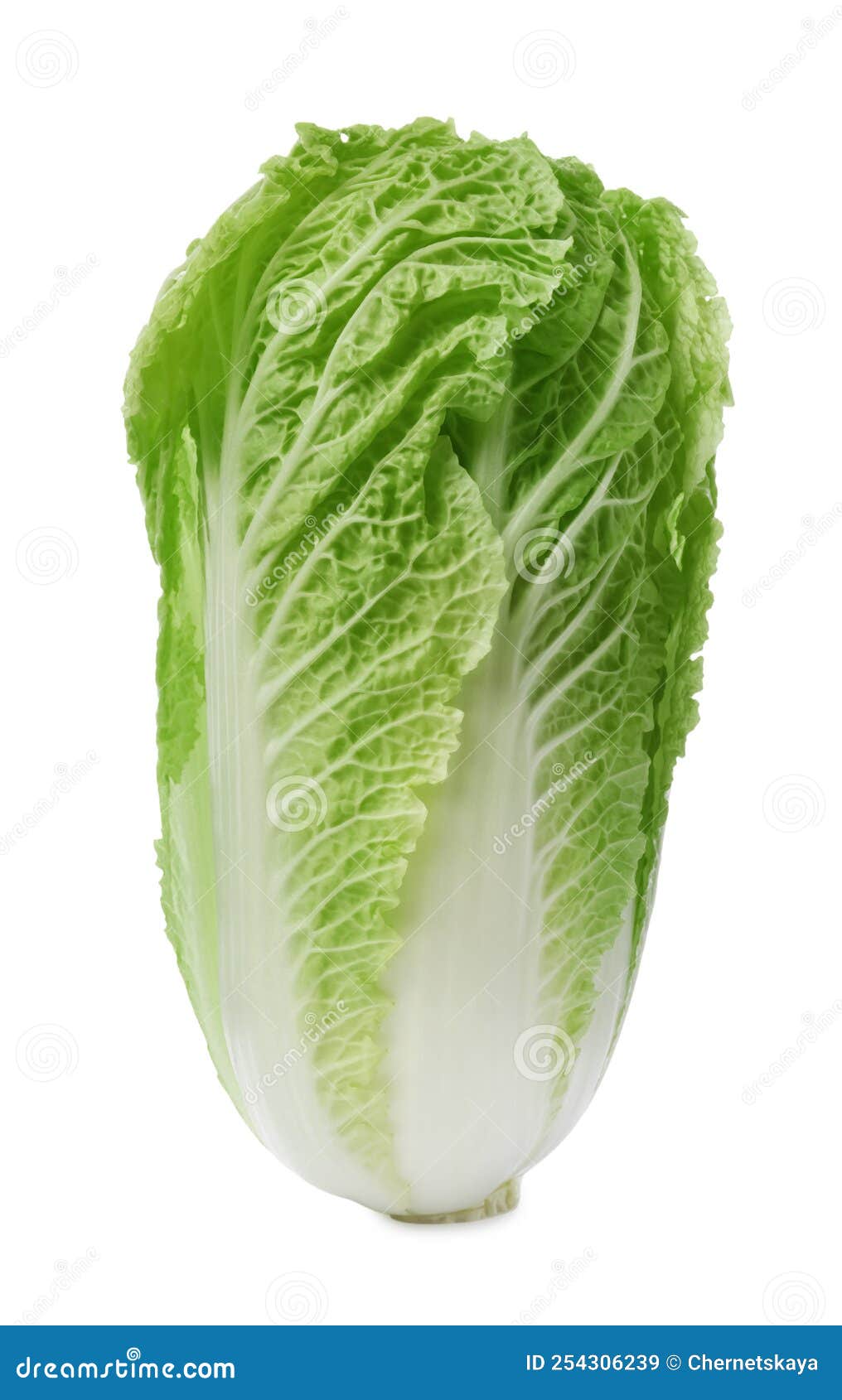 Fresh Tasty Chinese Cabbage Isolated on White Stock Image - Image of ...