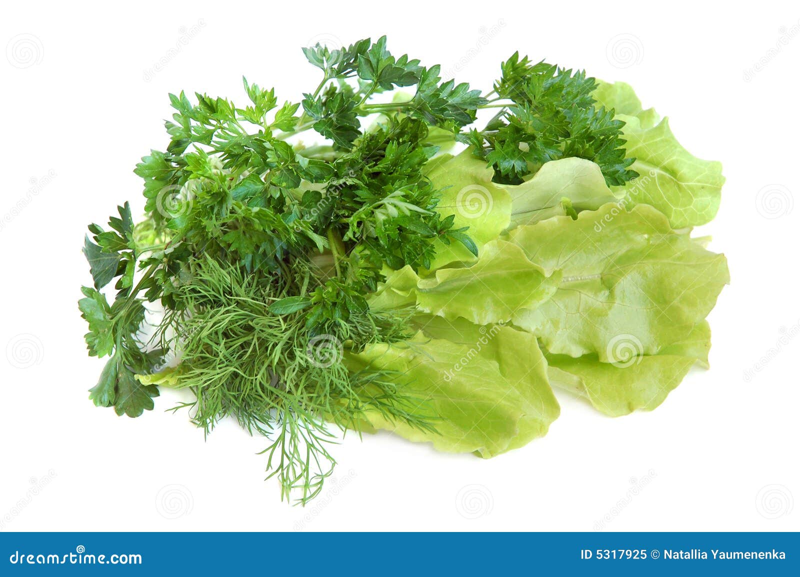 Fresh tasty greens stock image. Image of close, garnish - 5317925
