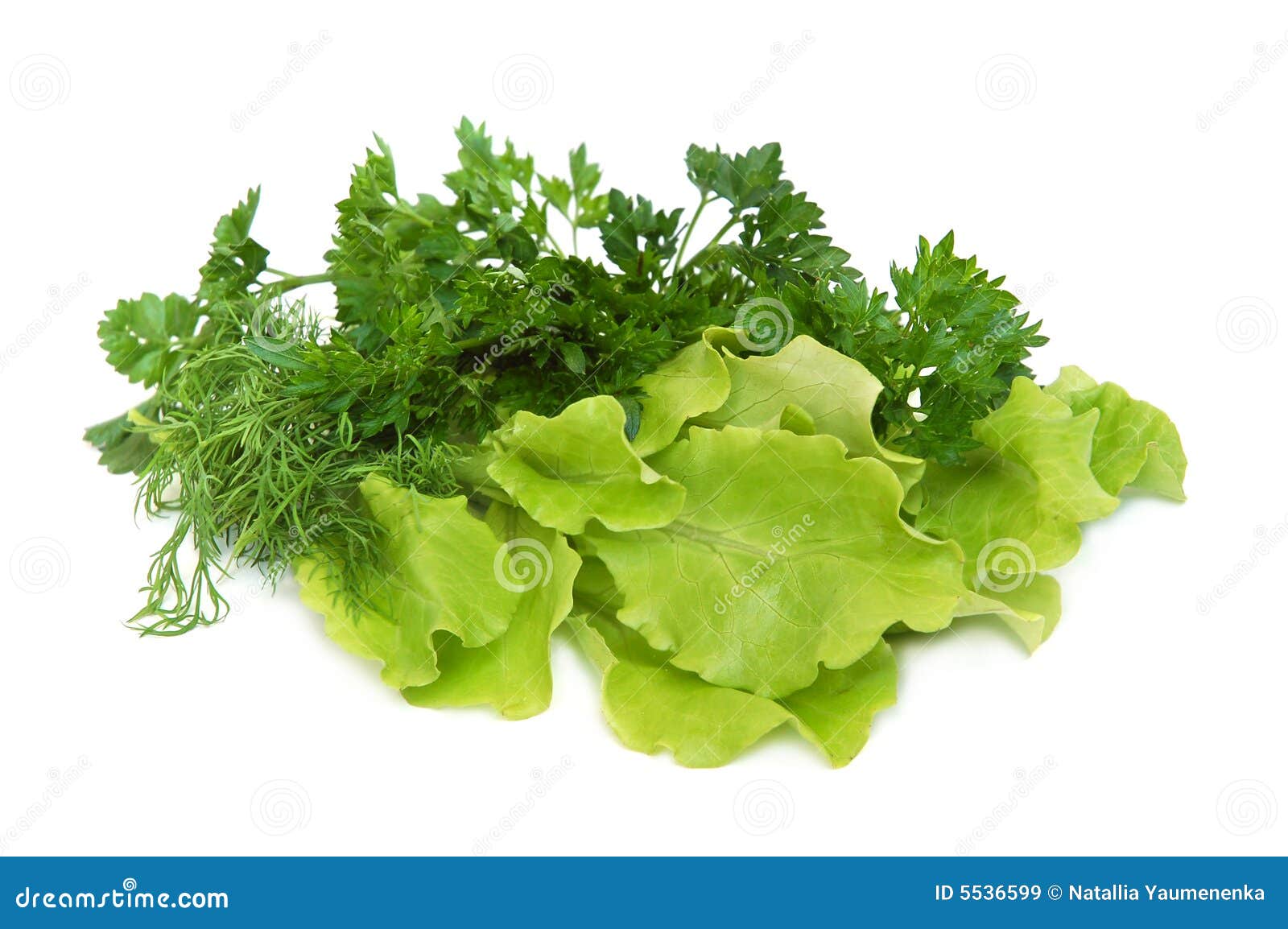 Fresh tasty greens stock image. Image of vitamin, fennel - 5536599