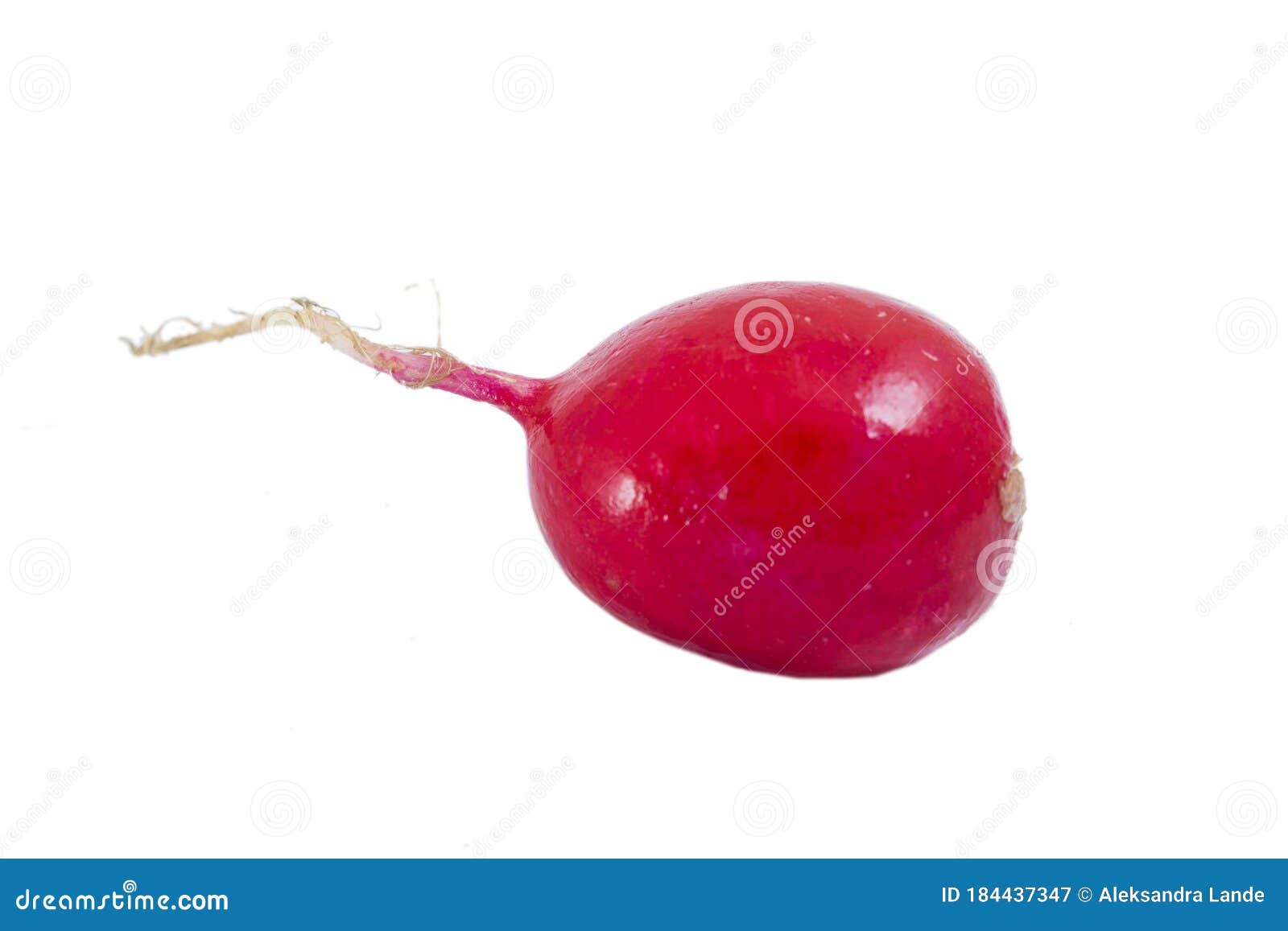Fresh Tasty Red Small Radish Isolated Stock Image - Image of vegetarian ...