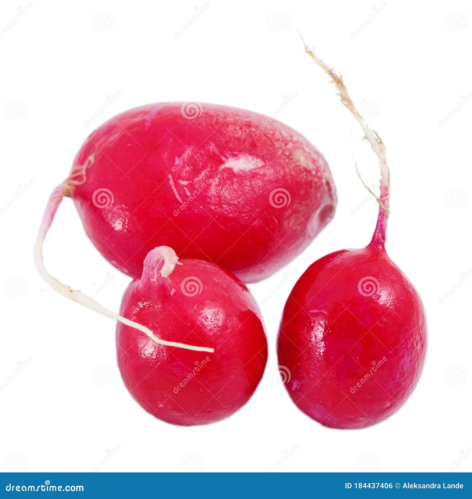 Fresh Tasty Red Small Radish Isolated Stock Photo - Image of tuber ...