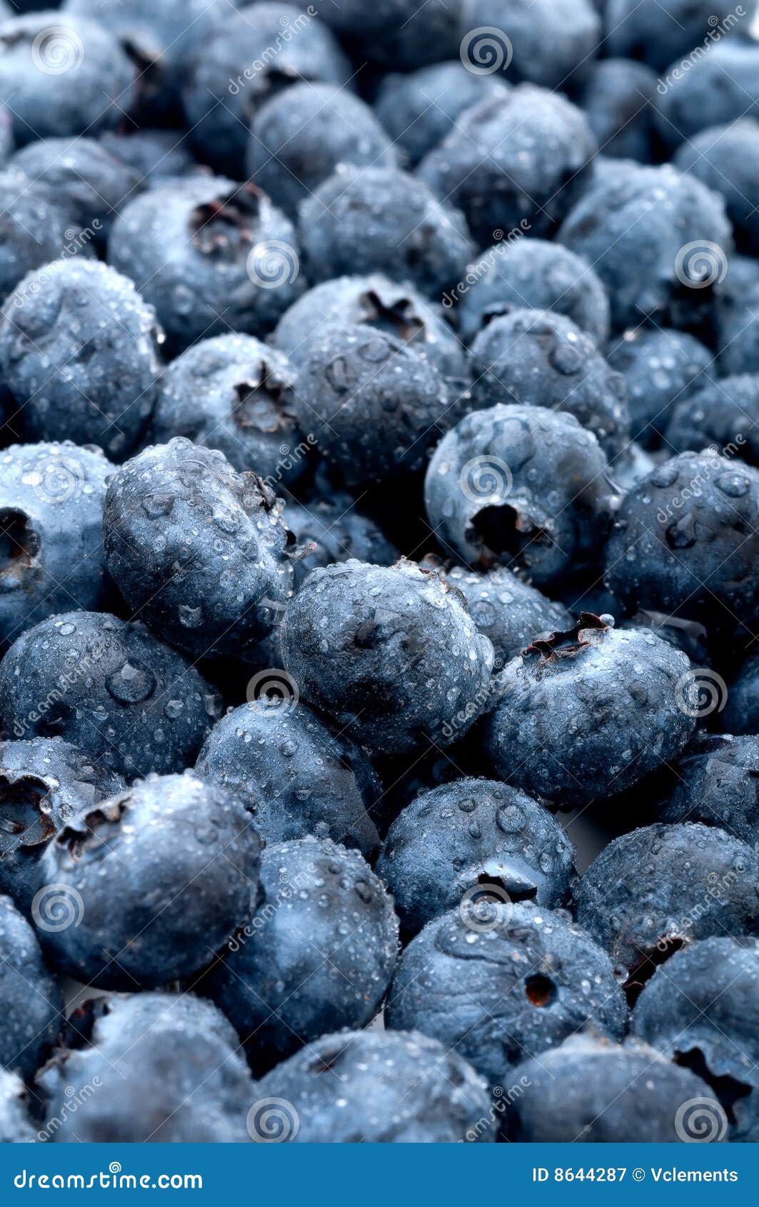Fresh Tasty Sweet Blue Berries Stock Image - Image of crop, snack: 8644287