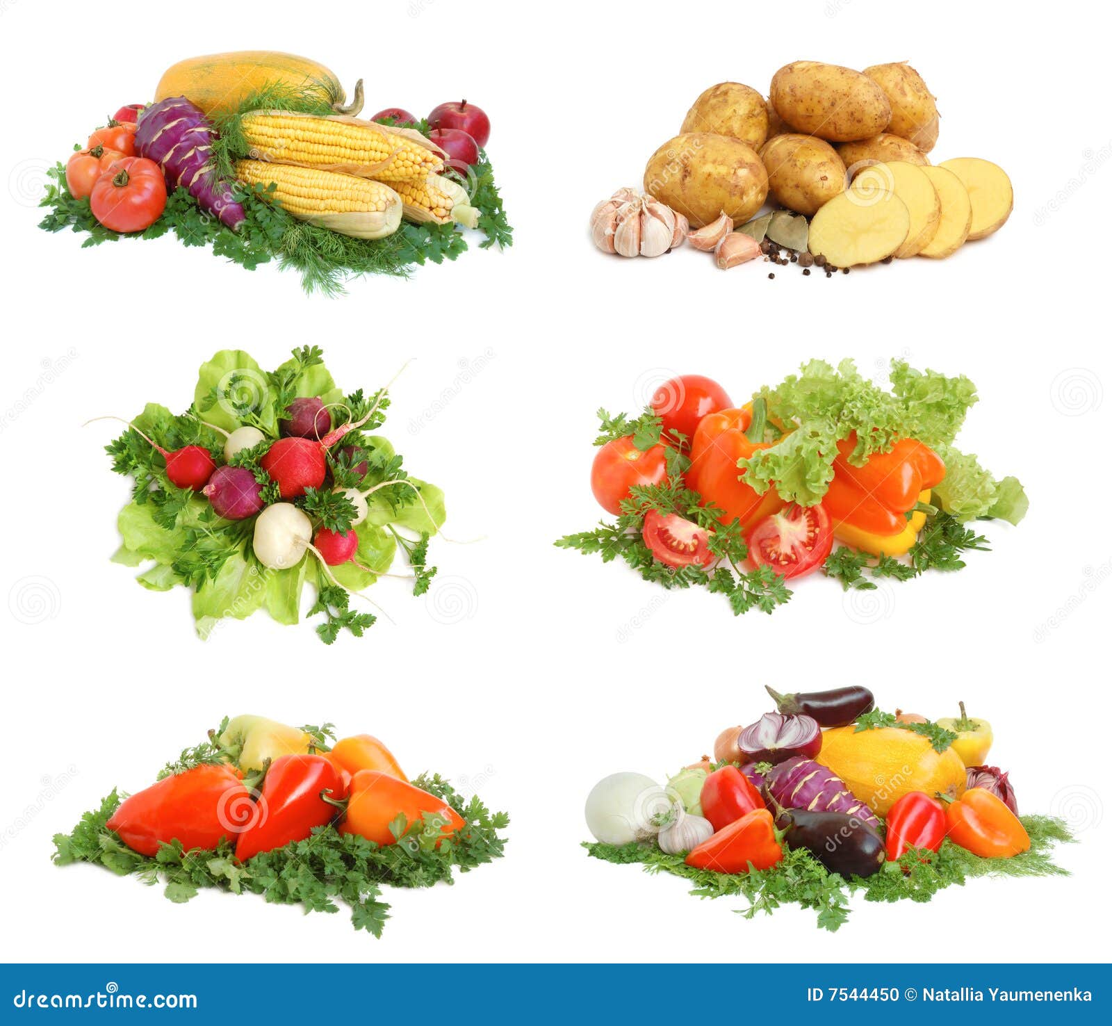 Fresh tasty vegetables stock photo. Image of collection - 7544450