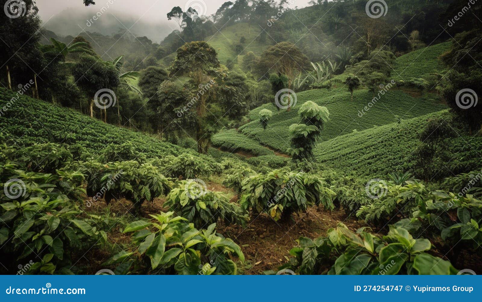 Fresh Tea Crops on Terraced Fields in Sa Pa Generated by AI Stock Image ...