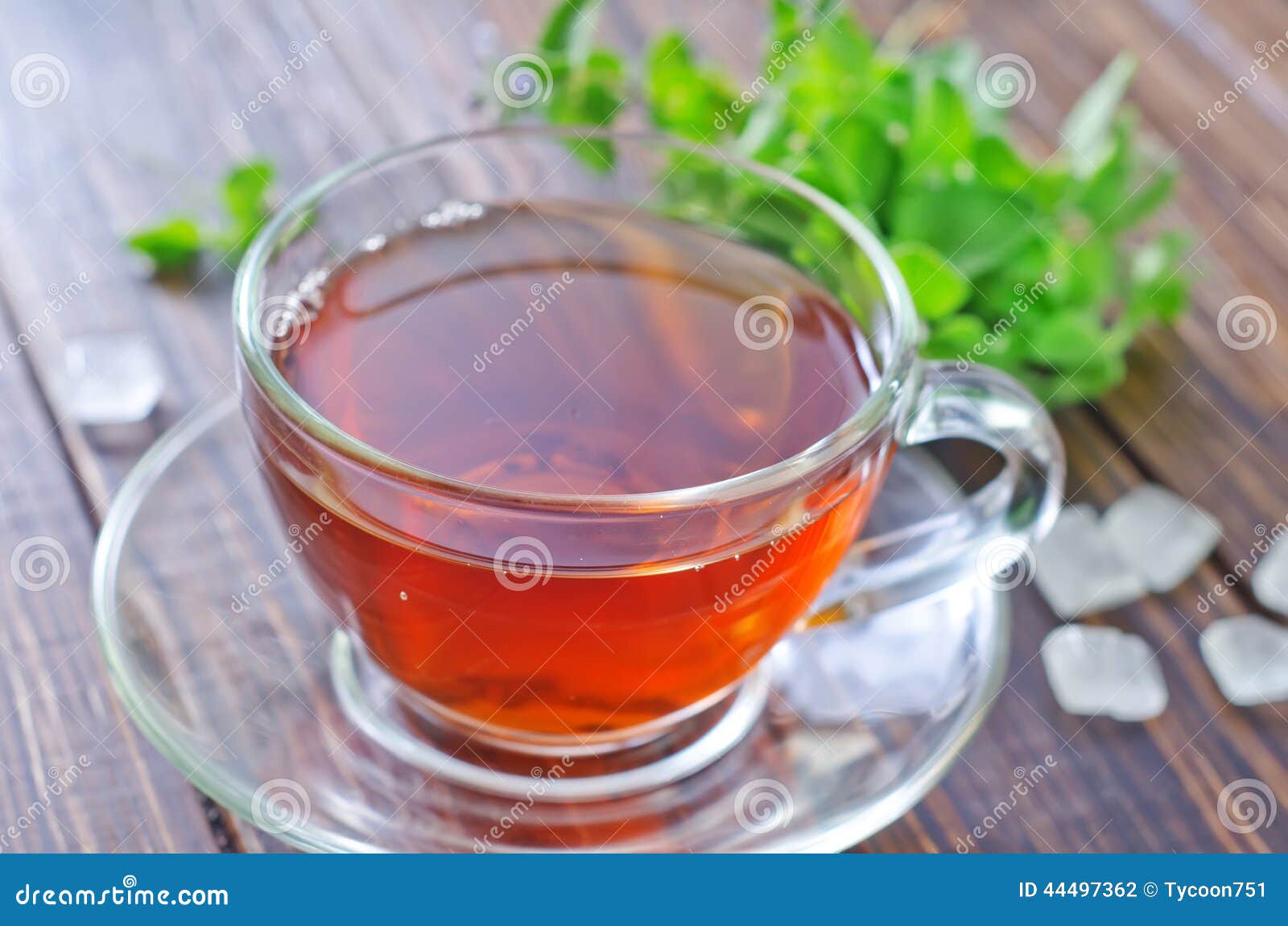 Fresh tea stock photo. Image of liquid, nature, isolated - 44497362