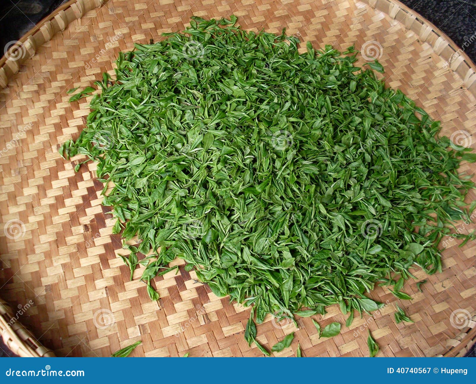 Fresh tea leaves stock image. Image of culture, cultural - 40740567