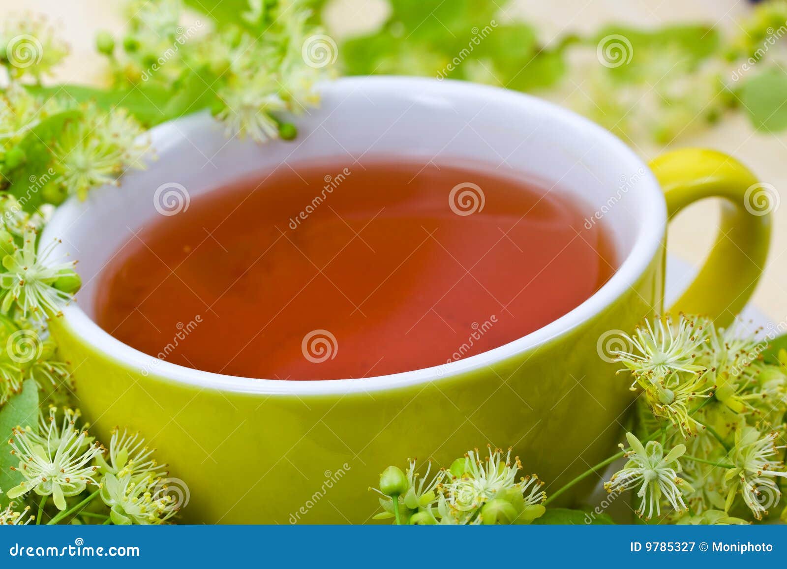 Fresh Tea of Lime Blossom - Tilia Platyphyllos Stock Image - Image of ...