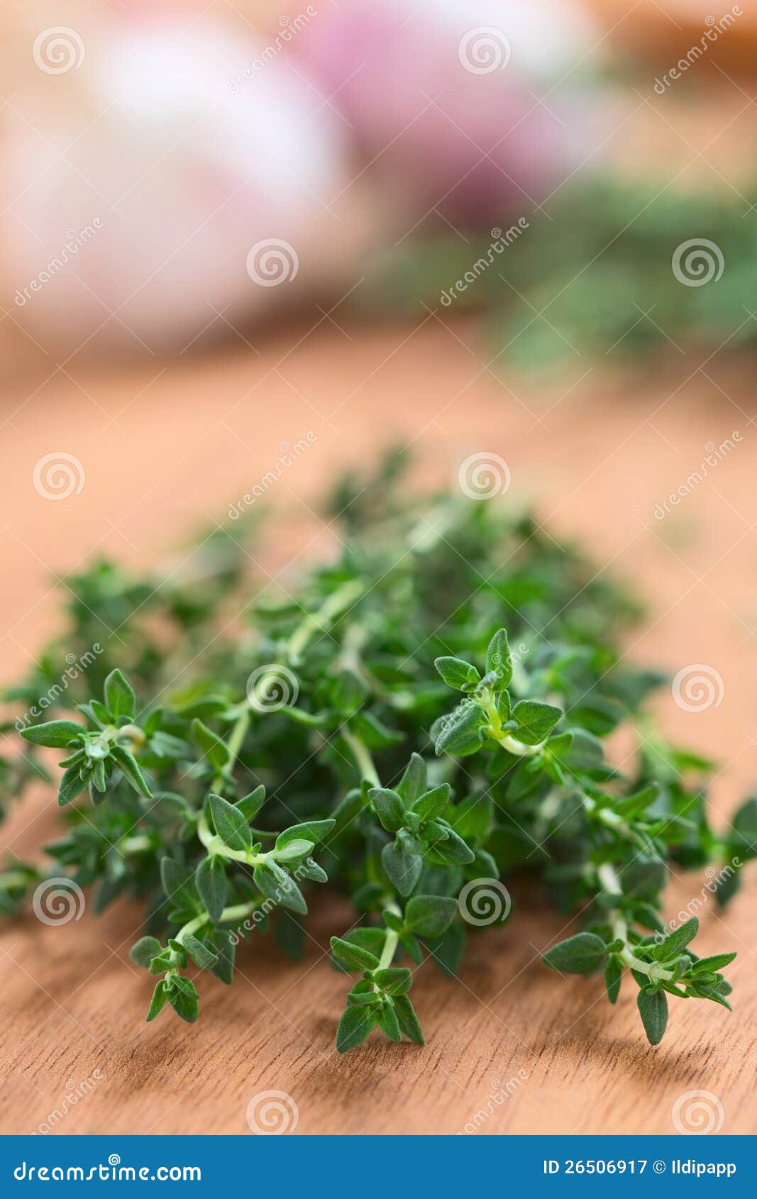 Fresh Thyme stock image. Image of sprig, bunch, culinary - 26506917