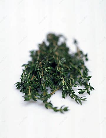 Fresh thyme stock photo. Image of still, shallow, eating - 338138