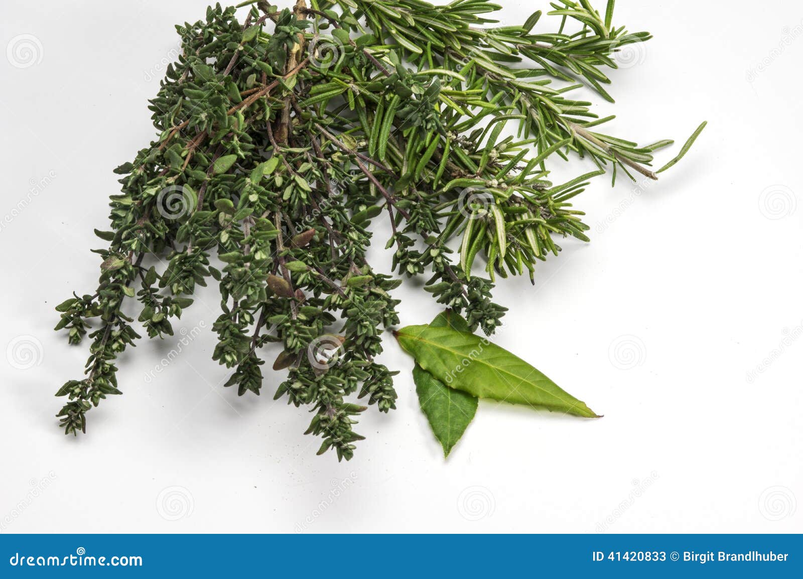 Fresh Thyme And Bay Leaf Stock Image Image Of Bunch 41420833