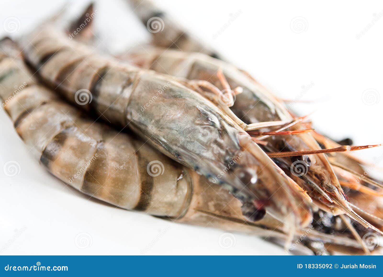 Fresh Tiger Prawn with Shell on Stock Photo - Image of arrange, seafood ...