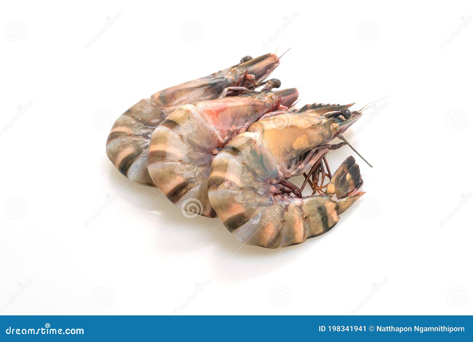 Fresh Raw Tiger Prawn Cut In Half On Gas BBQ Grill Roaster Royalty-Free ...