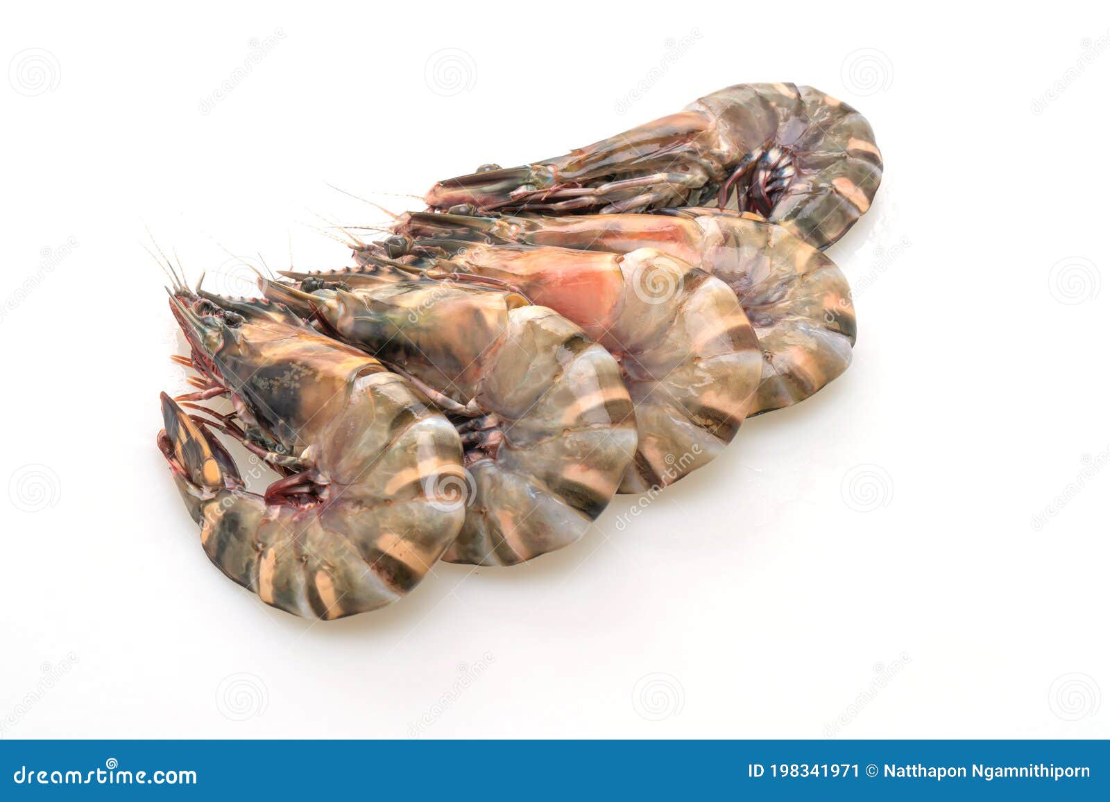 Fresh Tiger Prawn or Shrimp Stock Image - Image of food, healthy: 198341971