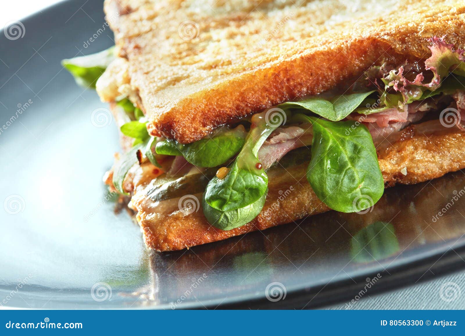 Fresh Toasted Panini Blt Sandwich Stock Photo - Image of plate, closeup ...