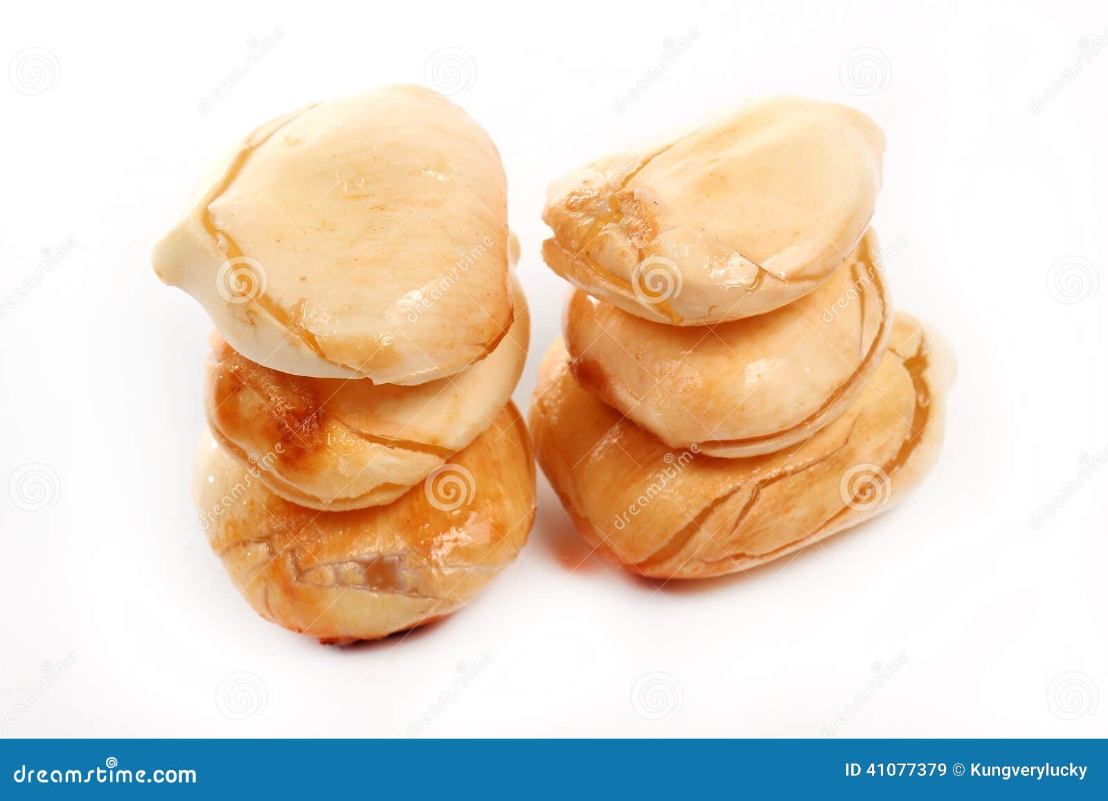 Fresh Toddy Palm Seeds after Peeling Stock Image - Image of toddy ...