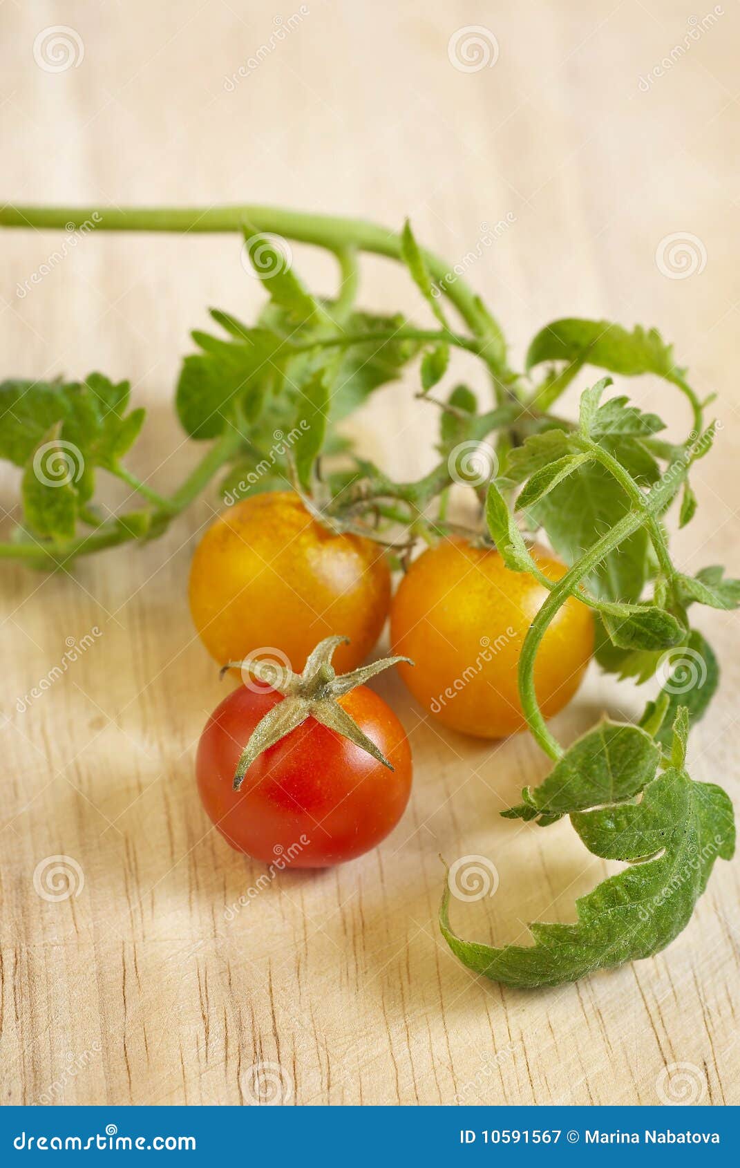 Fresh tomato stock image. Image of group, vegetarian - 10591567