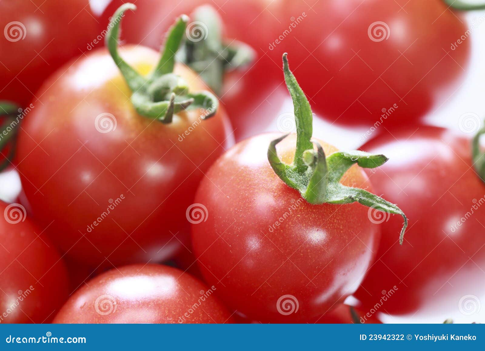 Fresh tomato stock photo. Image of salad, tomatoes, delicious - 23942322