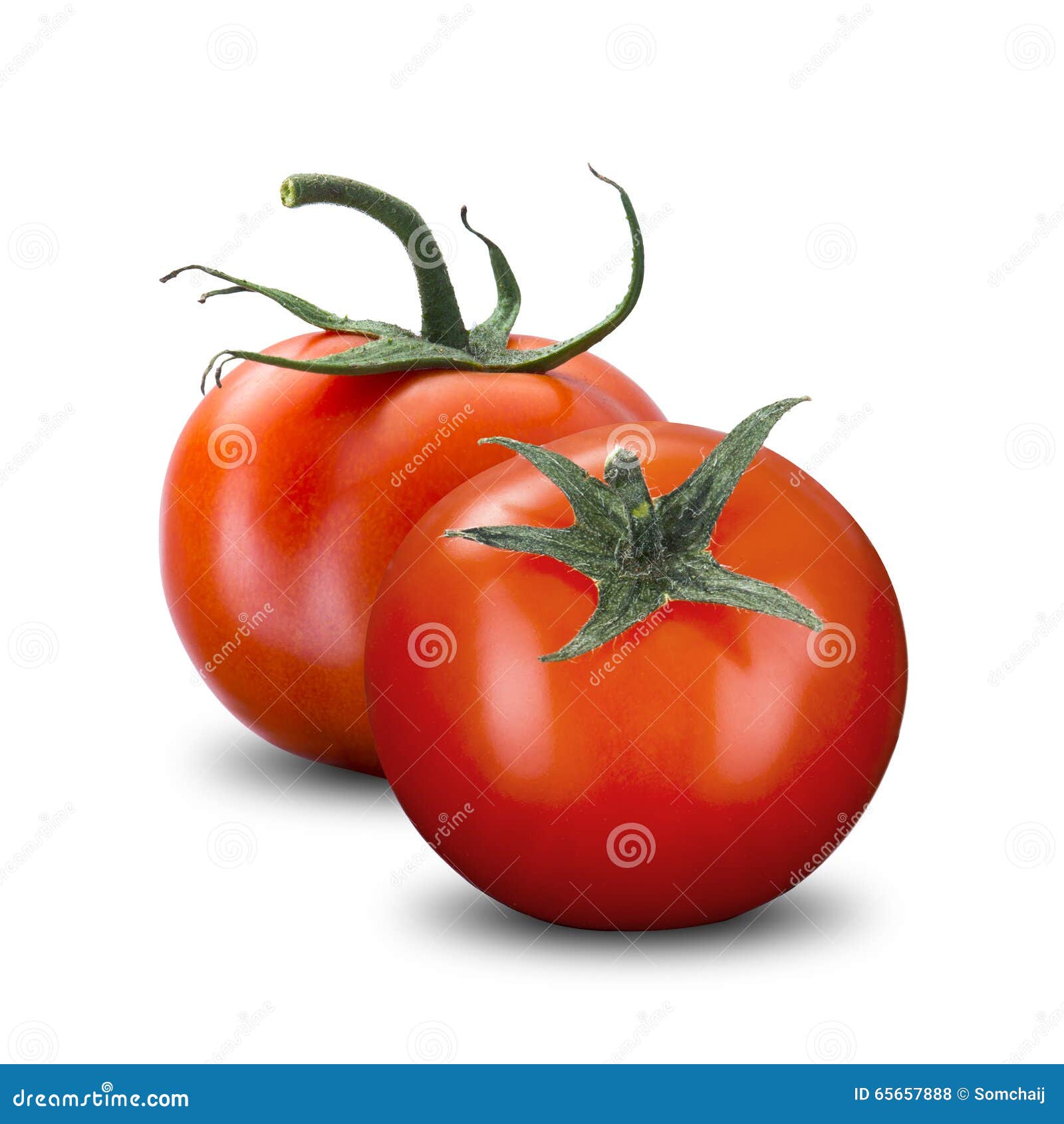 Fresh Tomato stock photo. Image of tomato, pattern, italian - 65657888