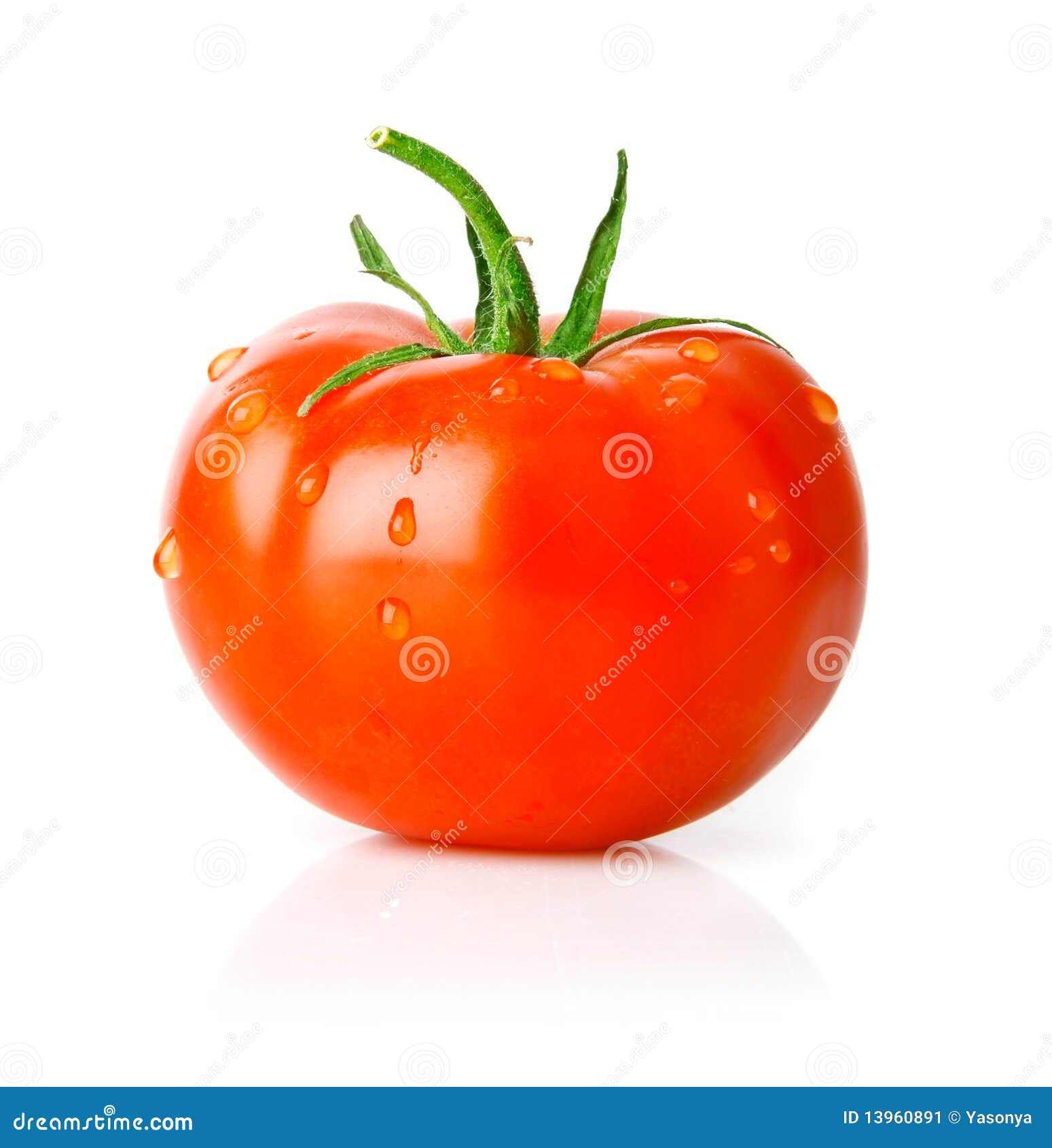 Fresh Tomato Fruit with Green Leaf Stock Image - Image of drops, fresh ...