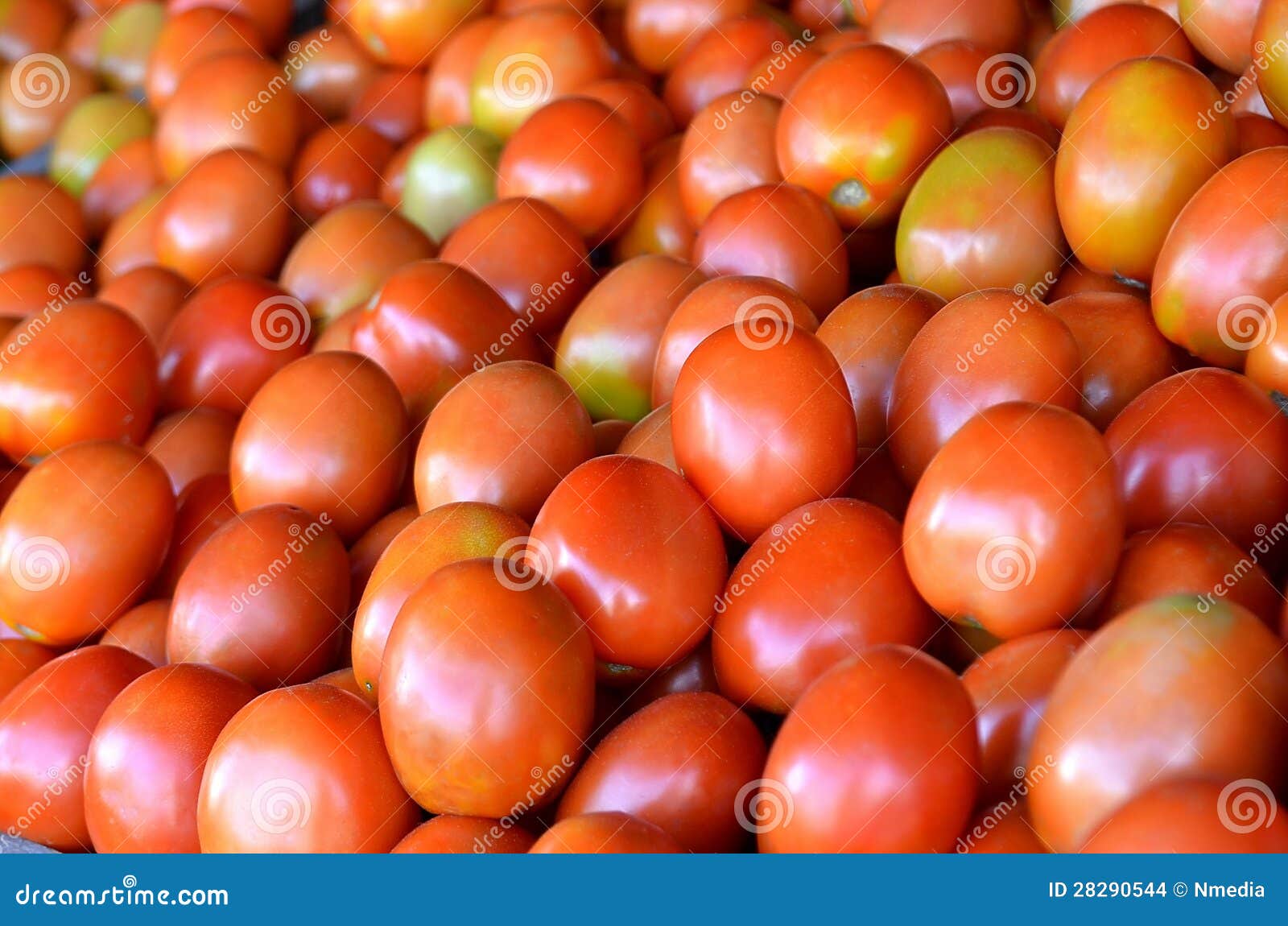 Fresh Tomato Fruit on Traditional Market Stock Photo - Image of object ...