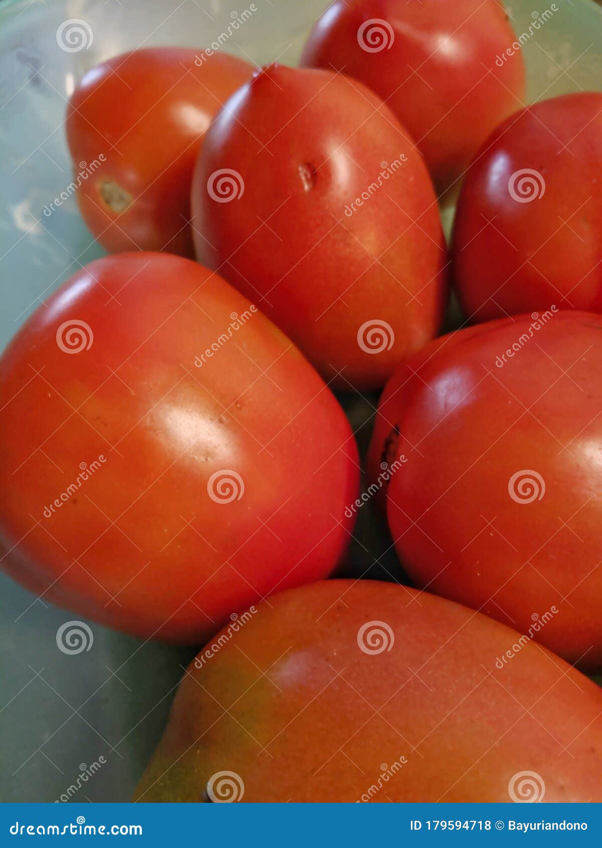 Fresh Tomato Harvest is Ready To Eat. Stock Photo - Image of growth ...