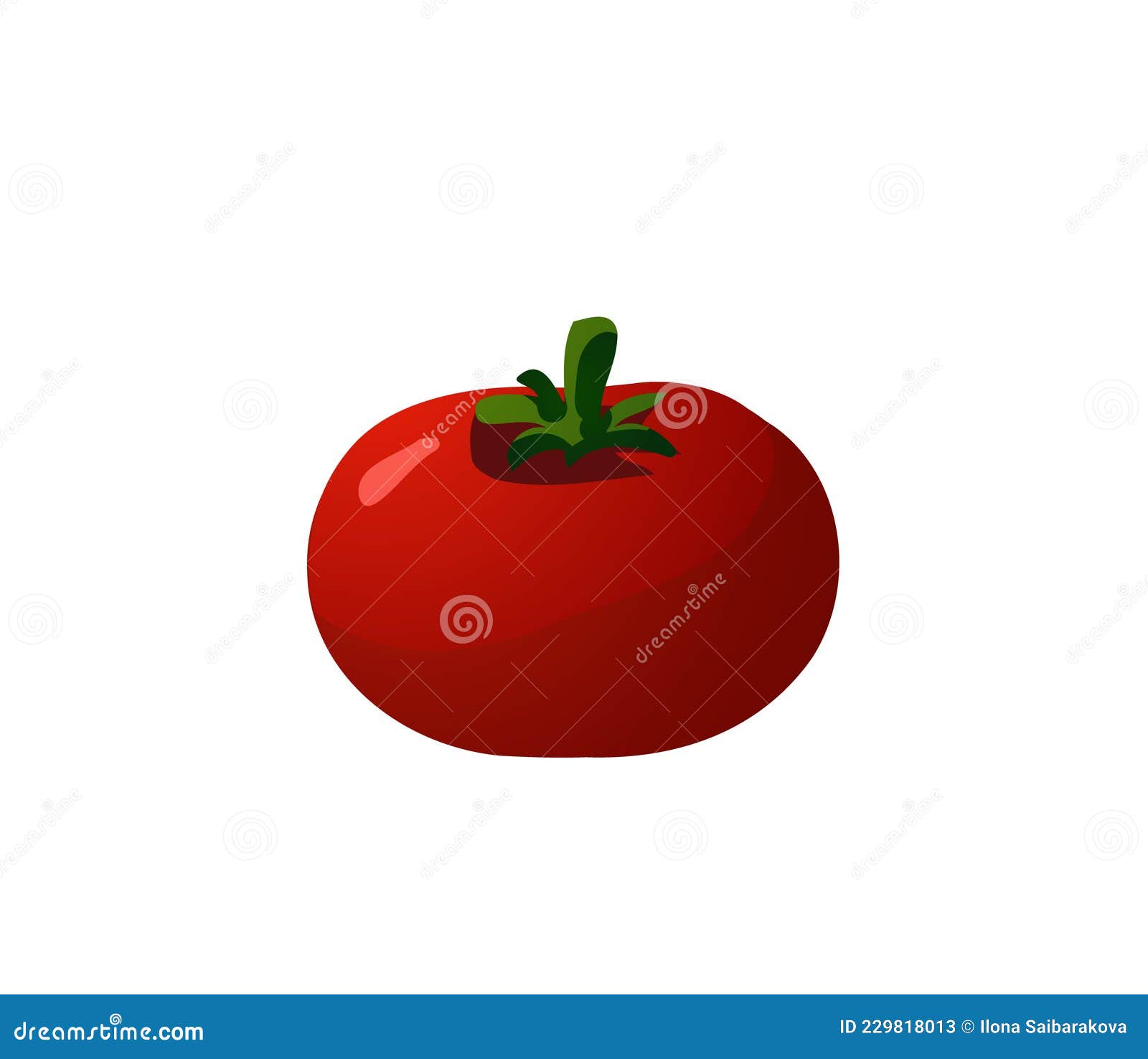 Fresh Tomato in Simple Cartoon Style. Vector Eps10 Stock Vector ...