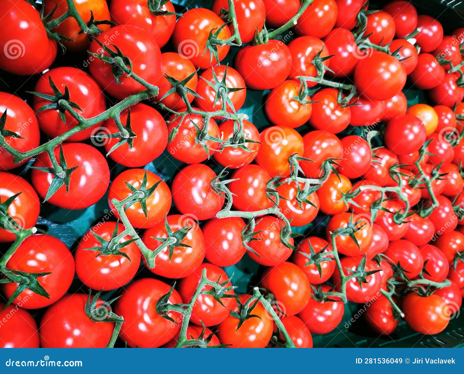 Tomato Texture Royalty-Free Stock Photo | CartoonDealer.com #548655