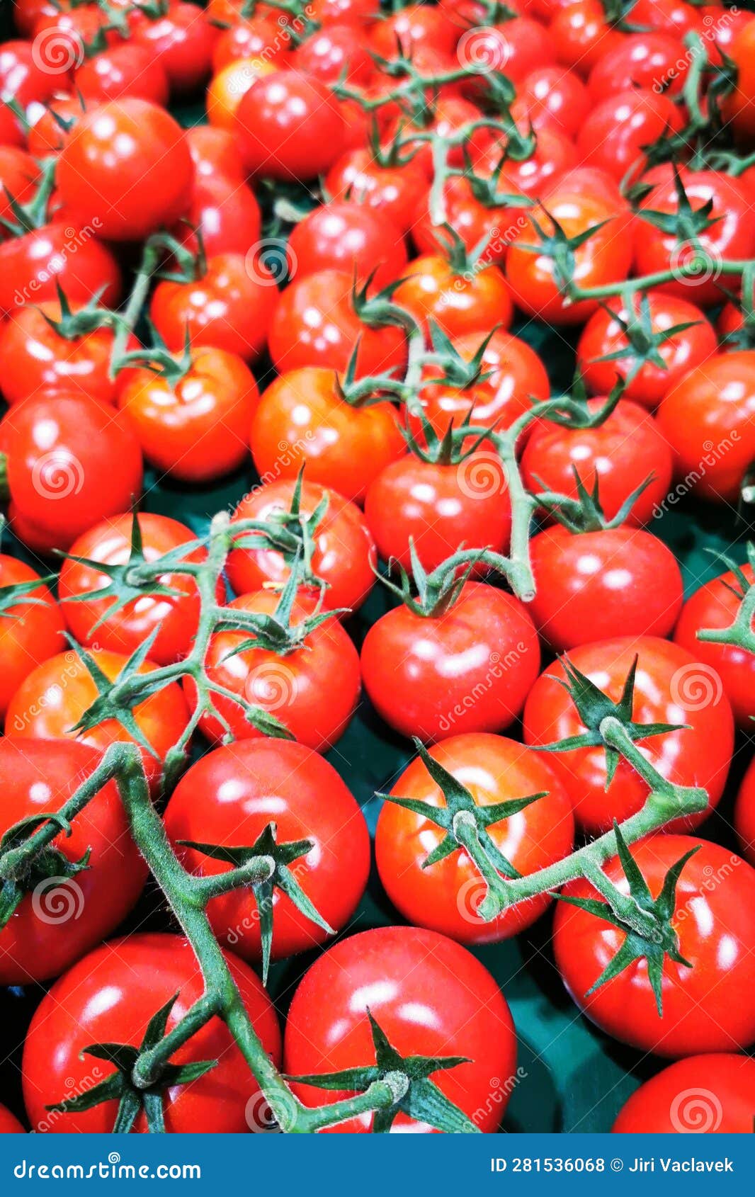 Tomato Texture Royalty-Free Stock Photo | CartoonDealer.com #548655
