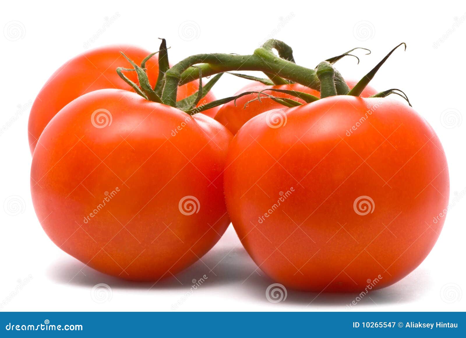Fresh tomatoes stock image. Image of green, freshness - 10265547