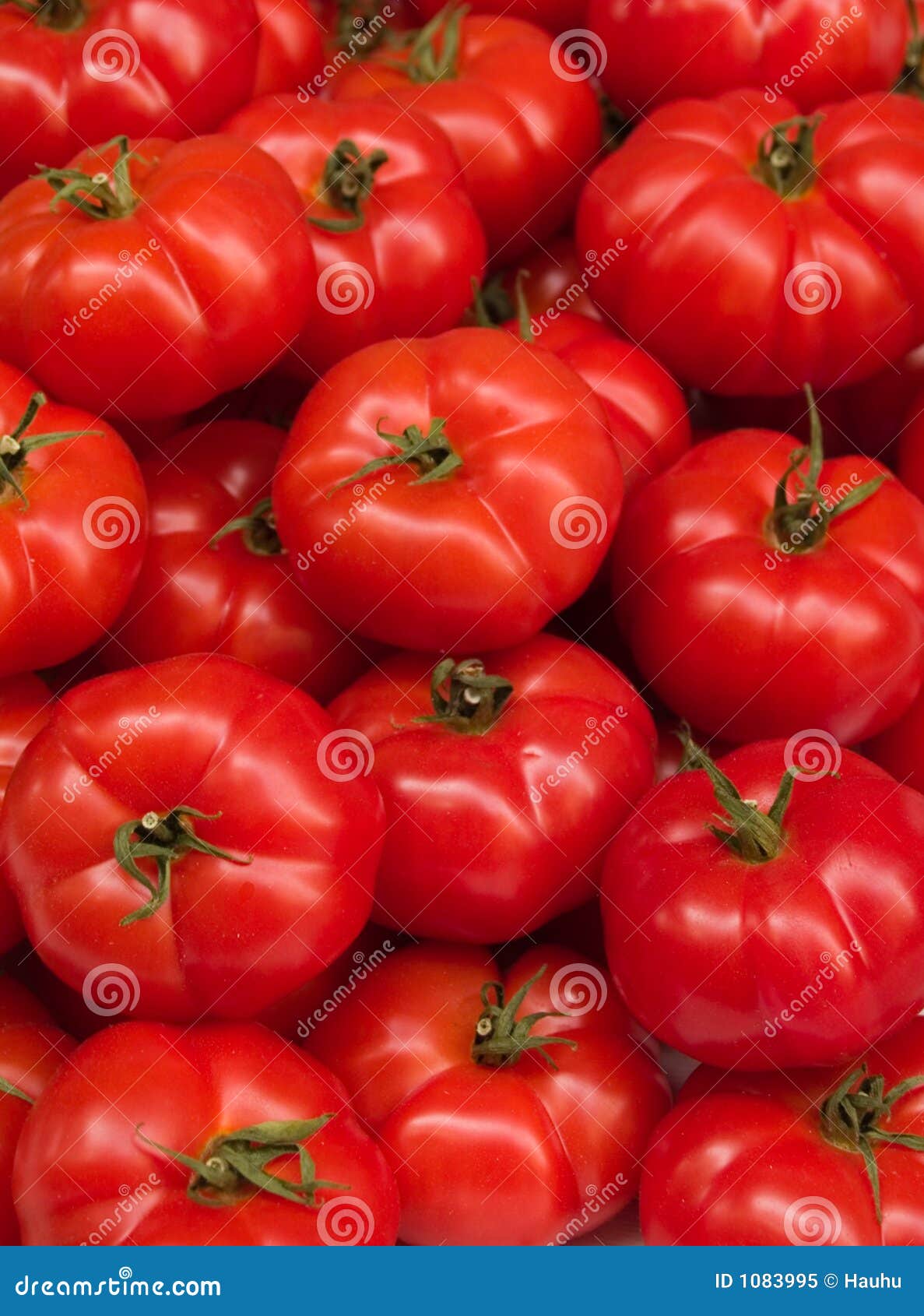 Fresh Tomatoes stock image. Image of tomato, flavour, vegan - 1083995