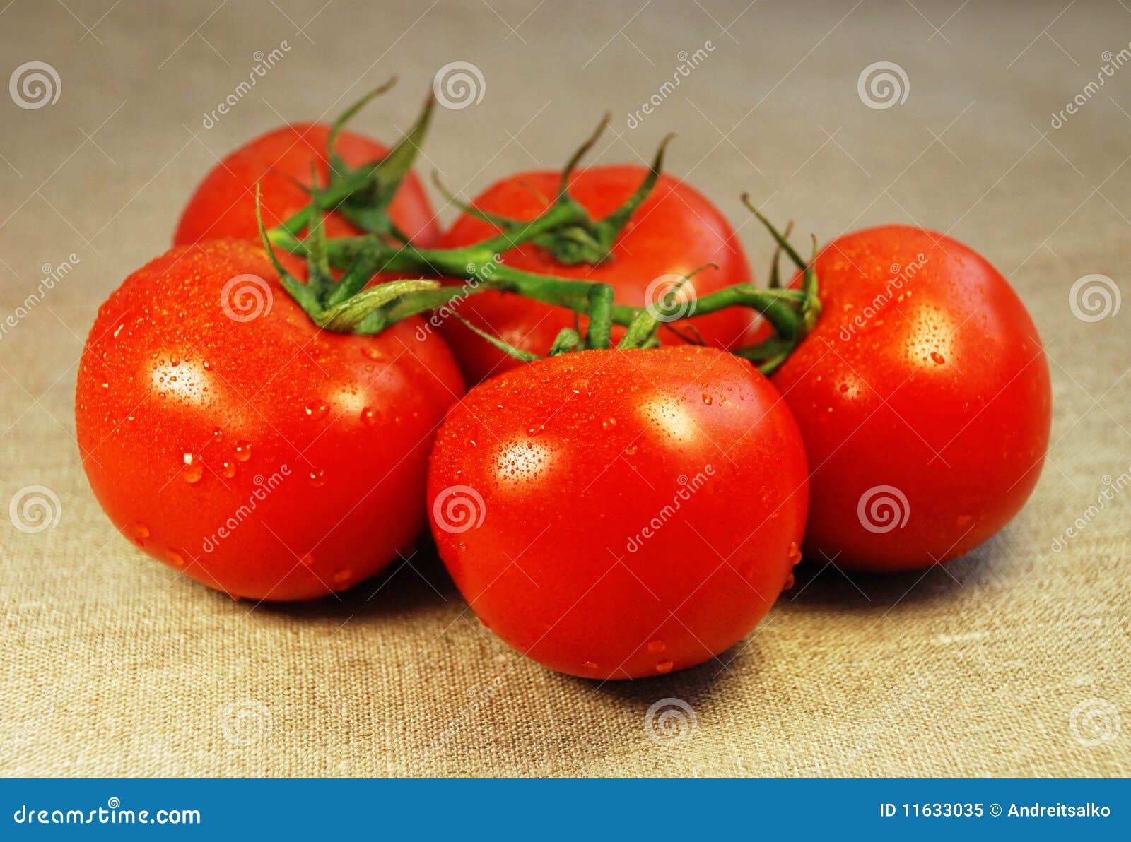 Fresh tomatoes stock image. Image of tomato, tomatoes - 11633035