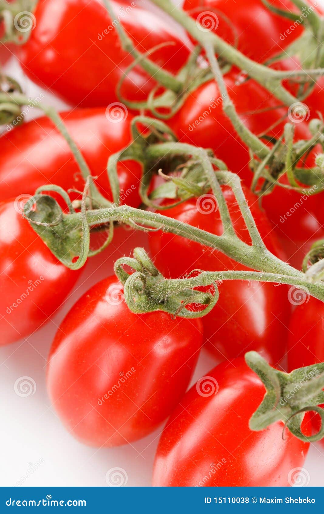 Fresh tomatoes stock photo. Image of diet, delicious - 15110038