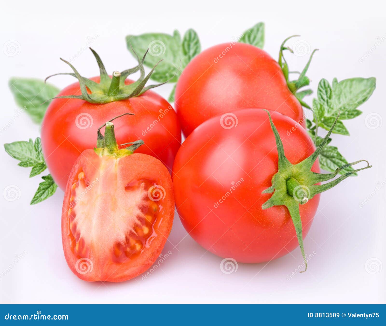 Fresh Tomatoes stock image. Image of salad, ripe, fruit - 8813509