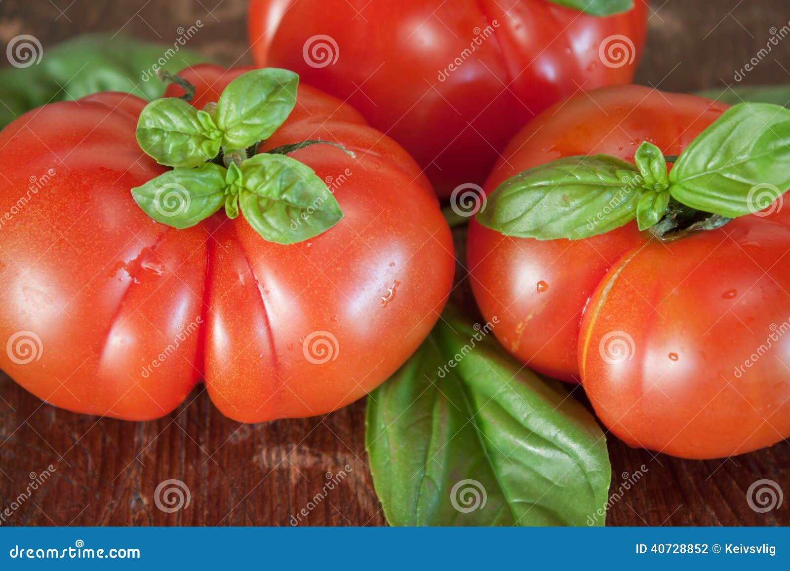 Fresh tomatoes and basil stock photo. Image of closeup - 40728852