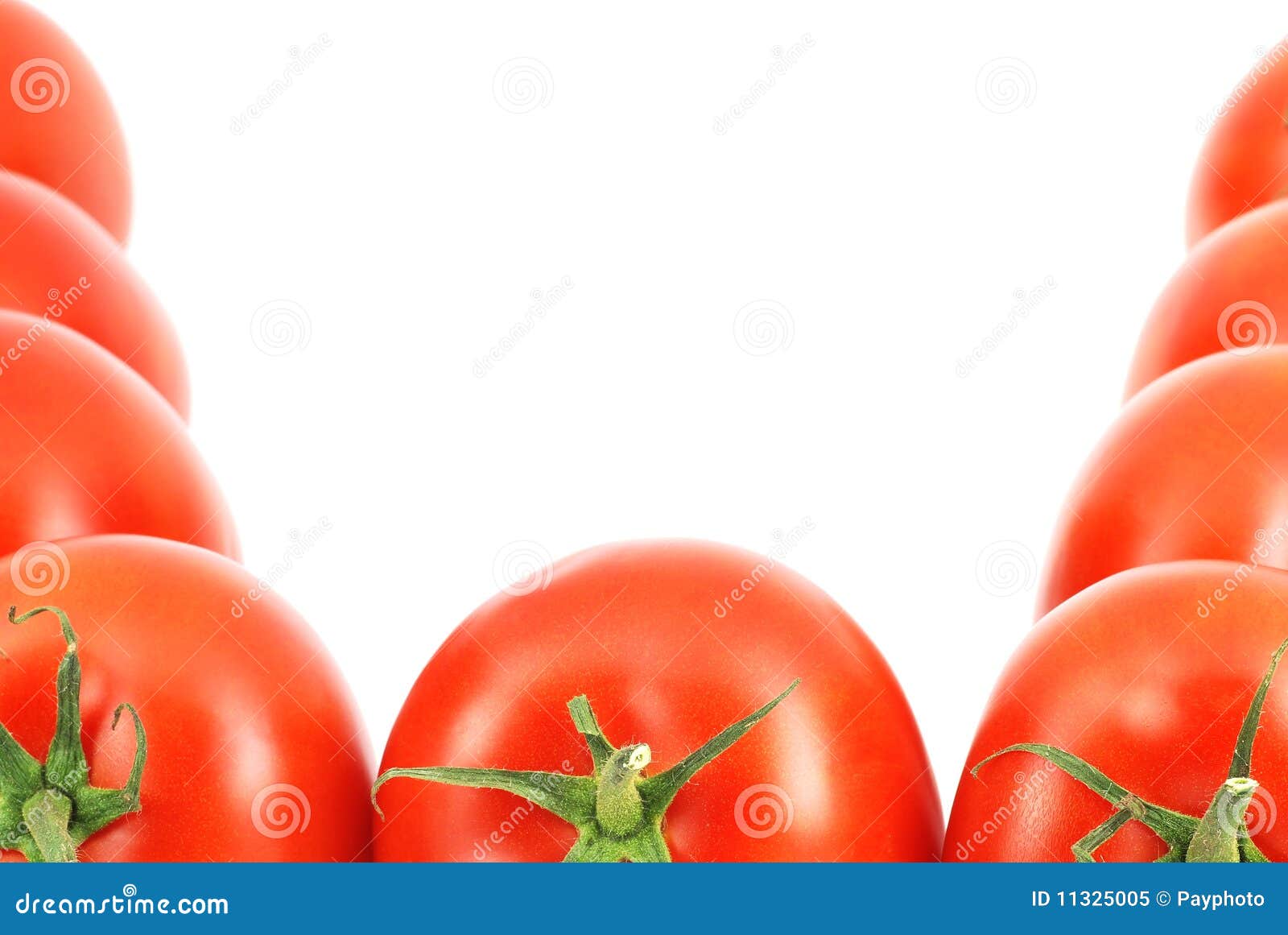 Fresh tomatoes border stock image. Image of color, tomato - 11325005