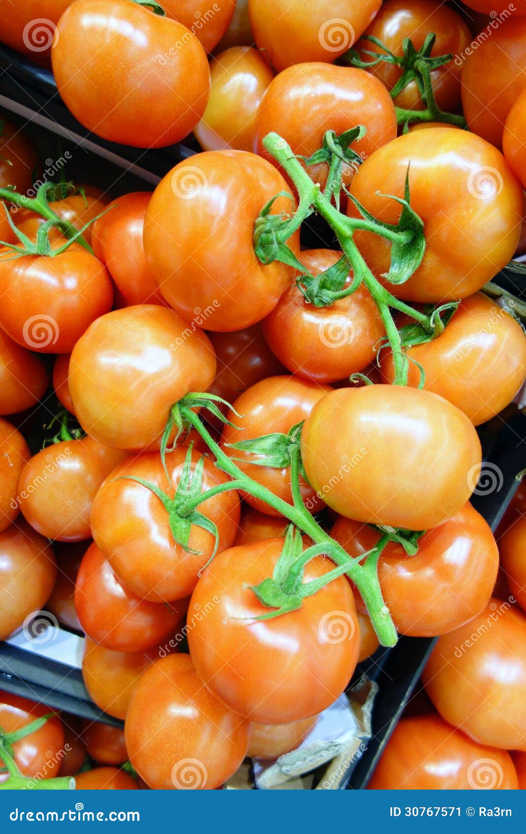 Fresh tomatoes in boxes stock image. Image of color, organic - 30767571