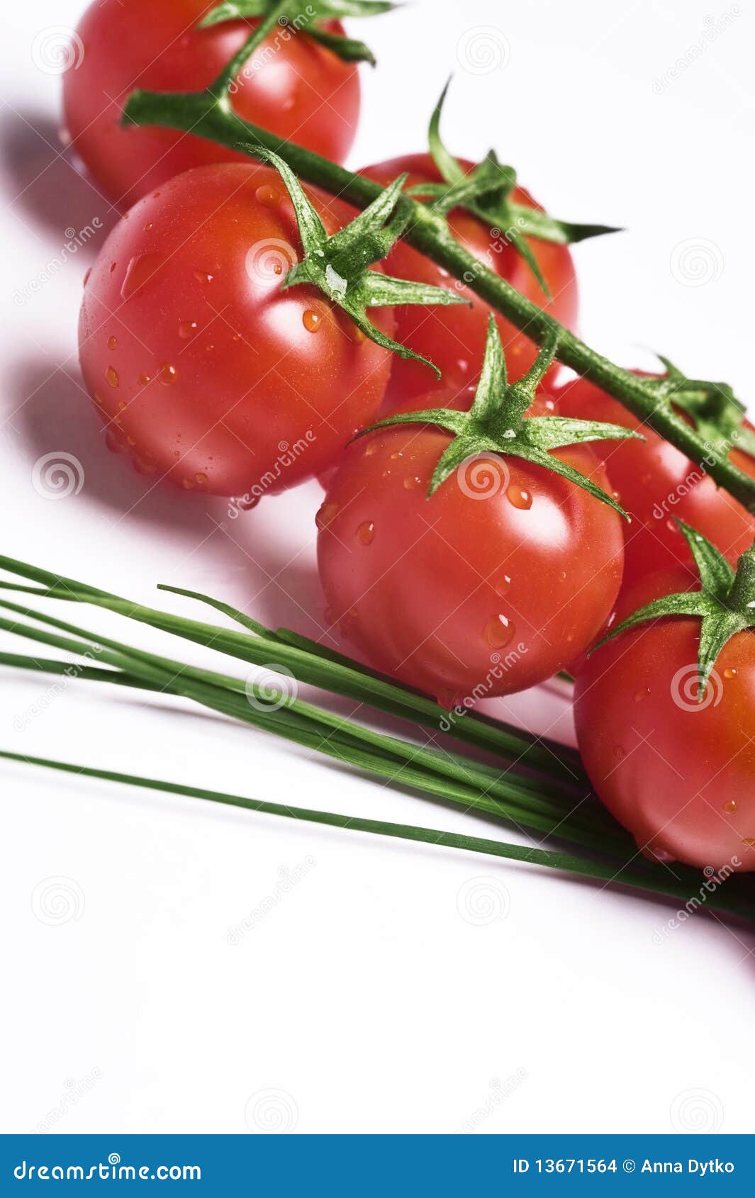 Fresh tomatoes and chive stock photo. Image of harvesting - 13671564